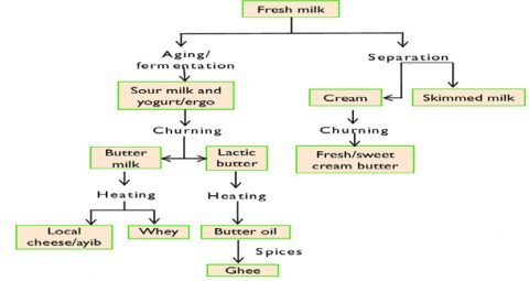 Ghee Manufacturing Process: A Complete Guide