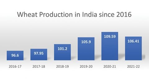 Current Trends in Indian Wheat Industry 2021-22 | FMT Magazine