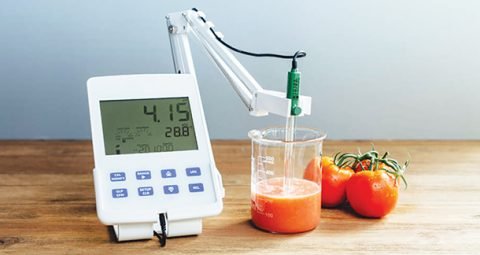 Understanding the Importance of Monitoring pH Levels During Food ...