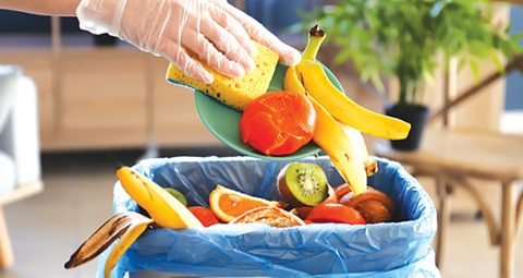 Conversion of Fruits and Vegetable Waste into Bio-Active Compounds ...