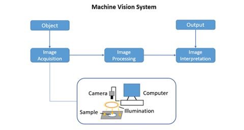 Advancements in Food safety and quality evaluation using Computer Vision and Machine Learning ...