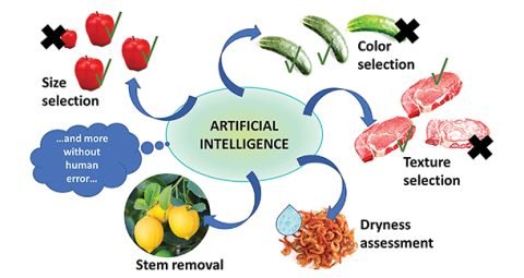 Advancements in Food safety and quality evaluation using Computer ...