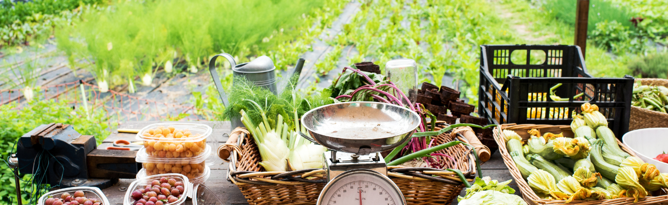 Farm to Table: Importance of Fresh Ingredients in Home Cooking