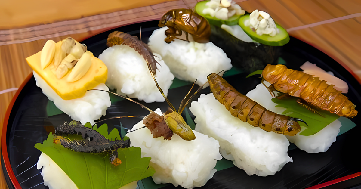 Bugs to Burgers: Can Insect Protein Change Food Production?