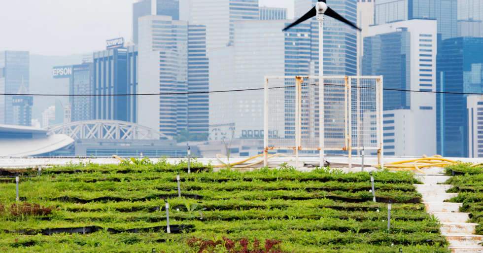 Growing Up: The Rise of Vertical Farming in Urban Agriculture
